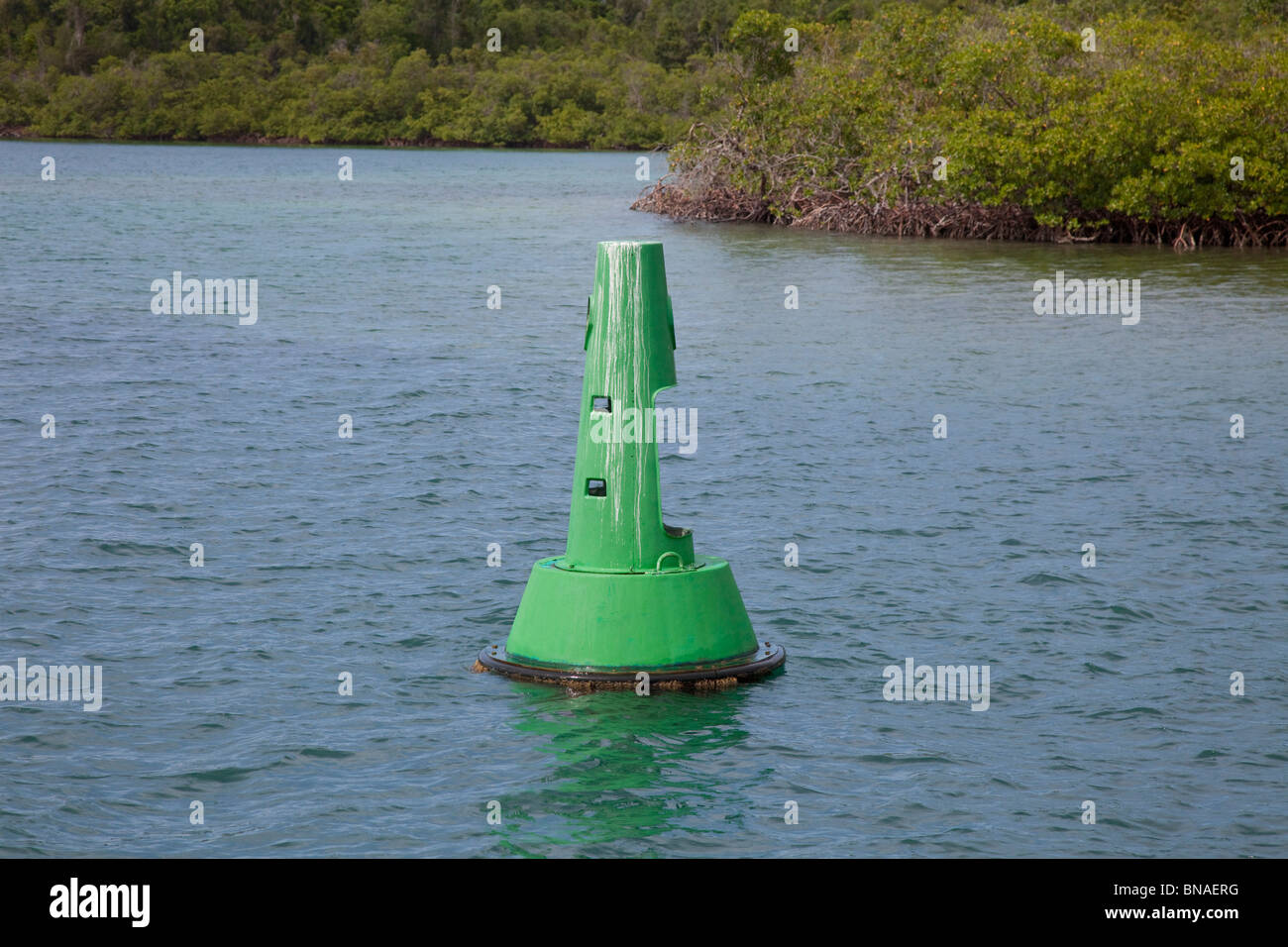 Green sea buoy Stock Photo - Alamy