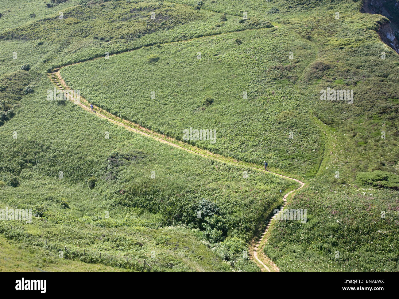 Two walkers ascend the steep path up Marsland cliff near Welcombe and ...