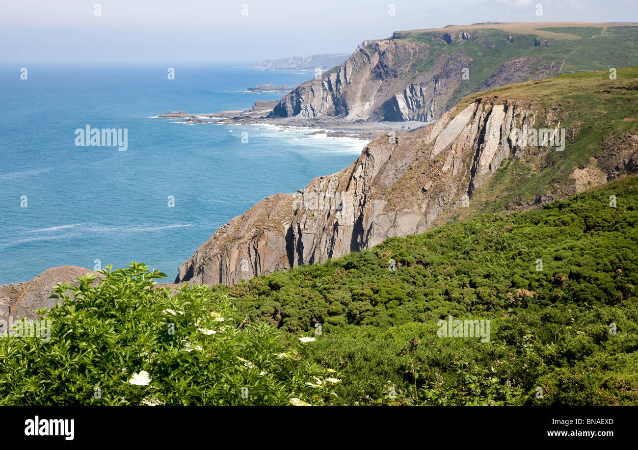 Coastal landscape looking North from Harscott High cliff and Lower ...