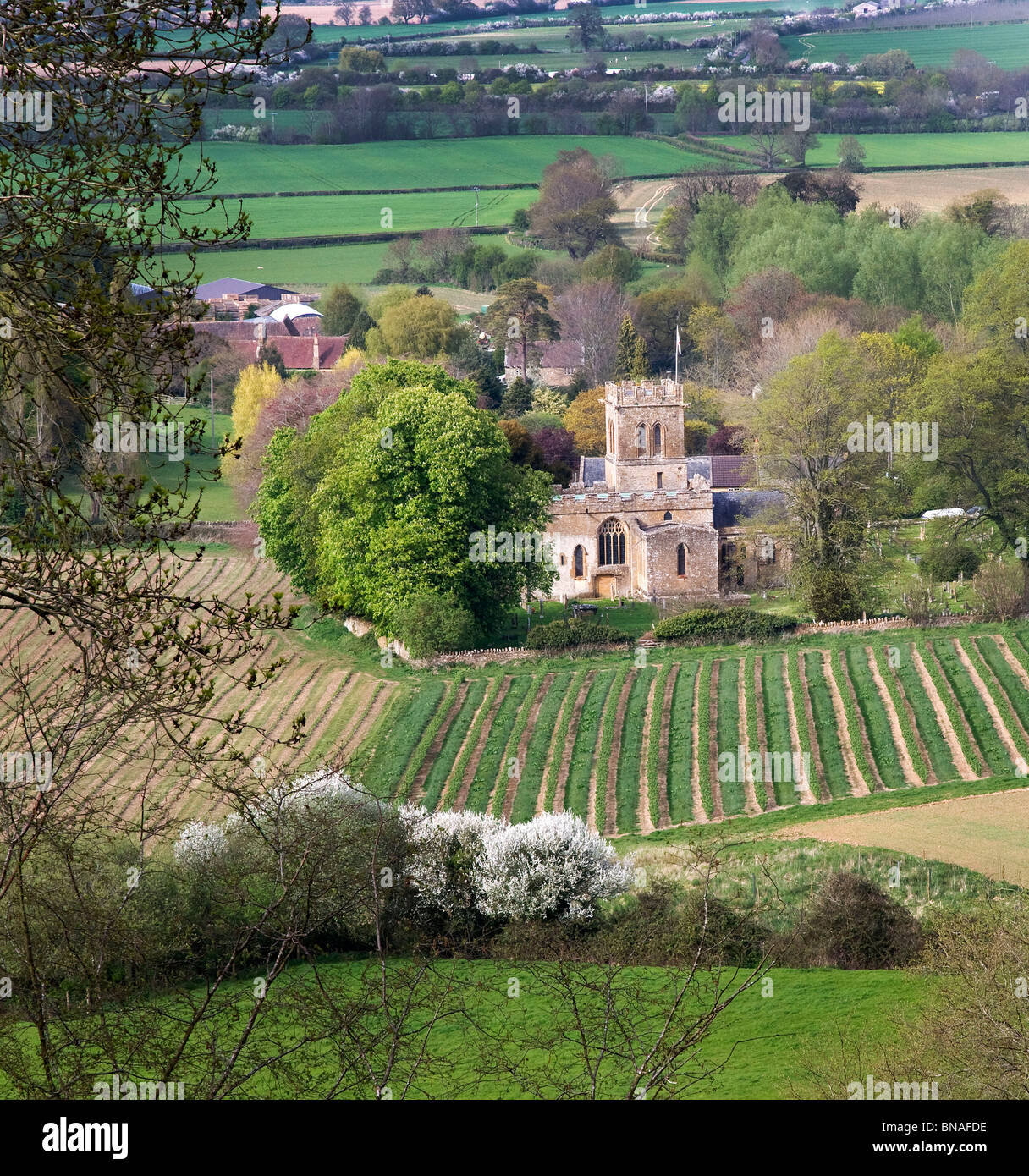 Stoke sub hamdon somerset hi-res stock photography and images - Alamy