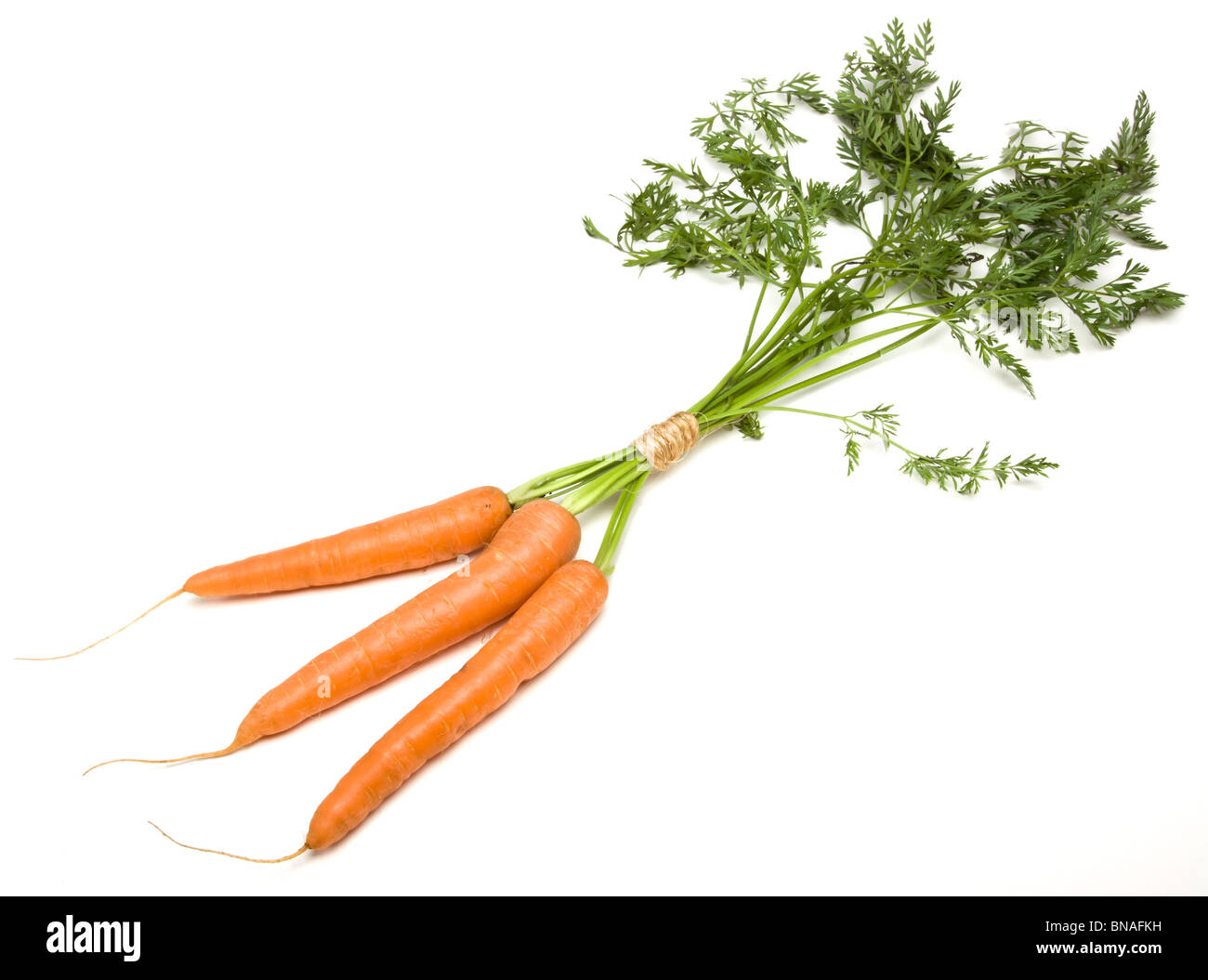 A bunch of fresh carrots from low perspective isolated against white ...