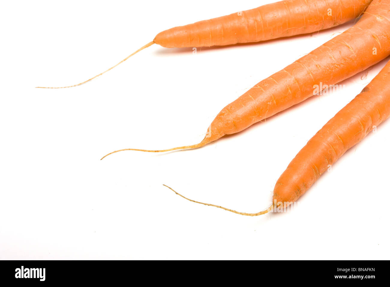 A bunch of fresh carrots from low perspective isolated against white ...