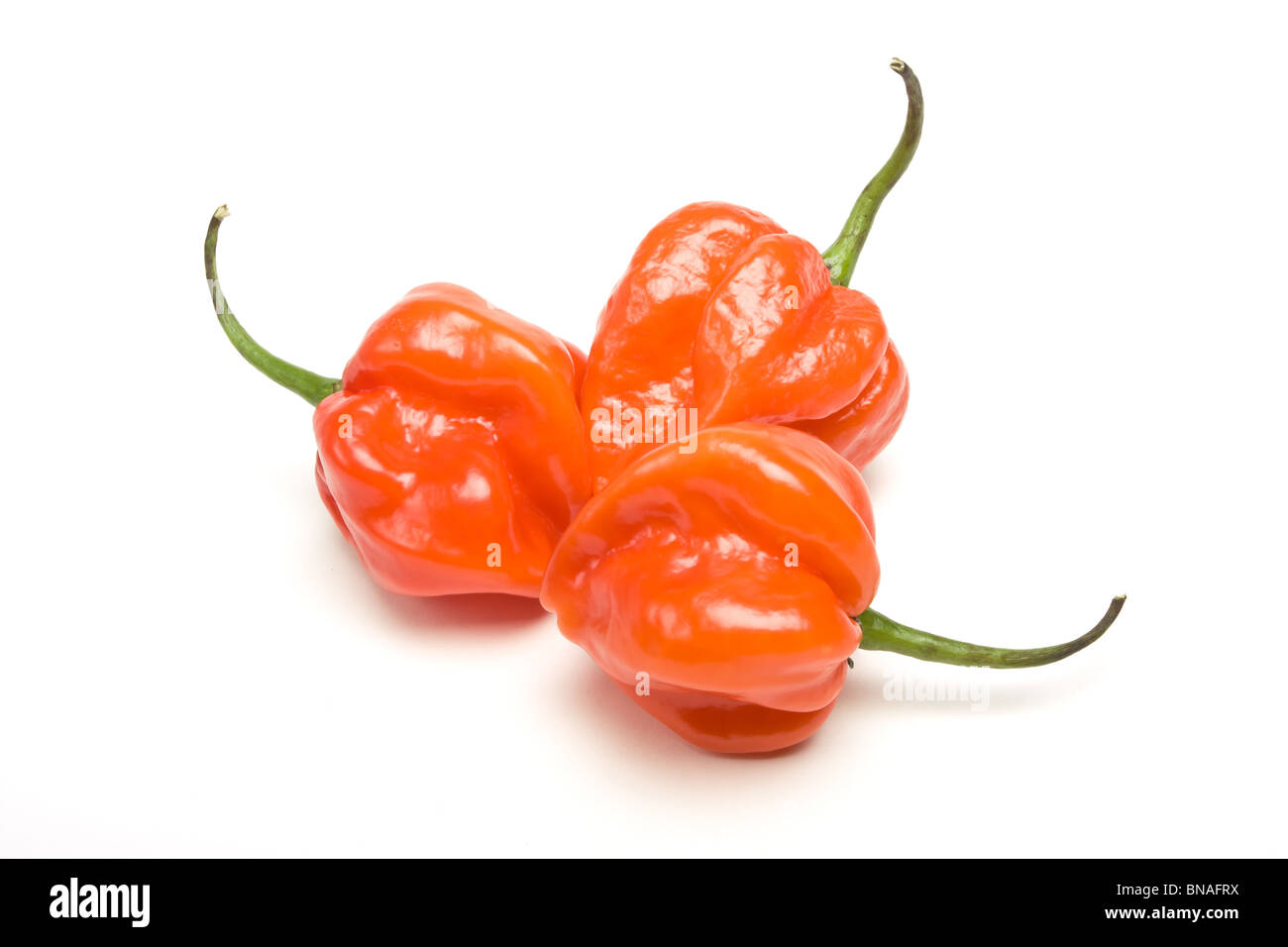 Scotch bonnet chilli hi-res stock photography and images - Alamy