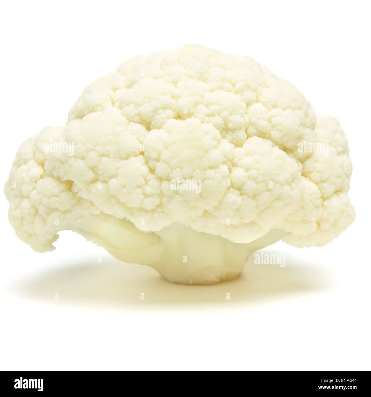 Single Cauliflower floret isolated against white background from low ...