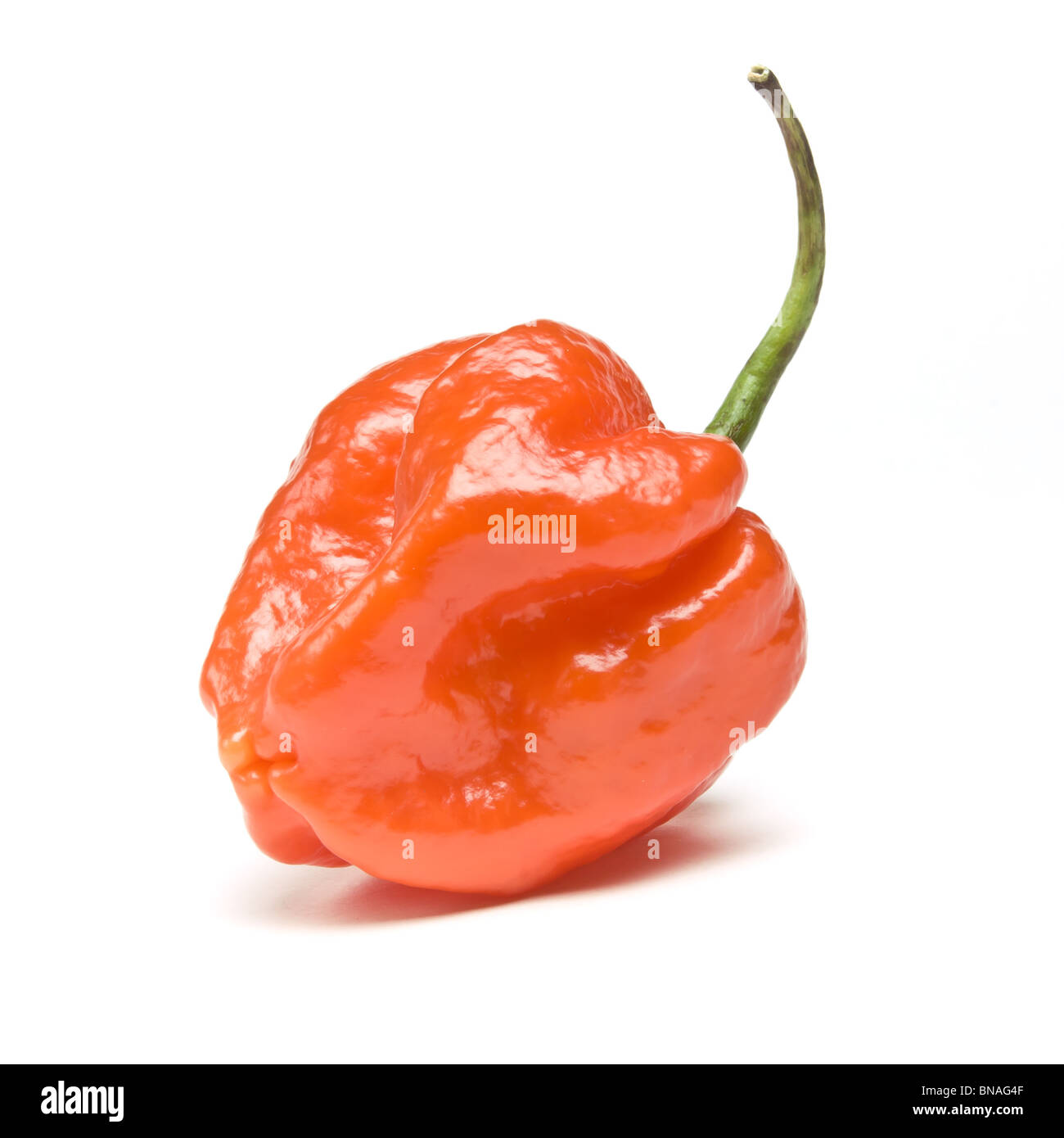 Deformed chilli Cut Out Stock Images & Pictures - Alamy