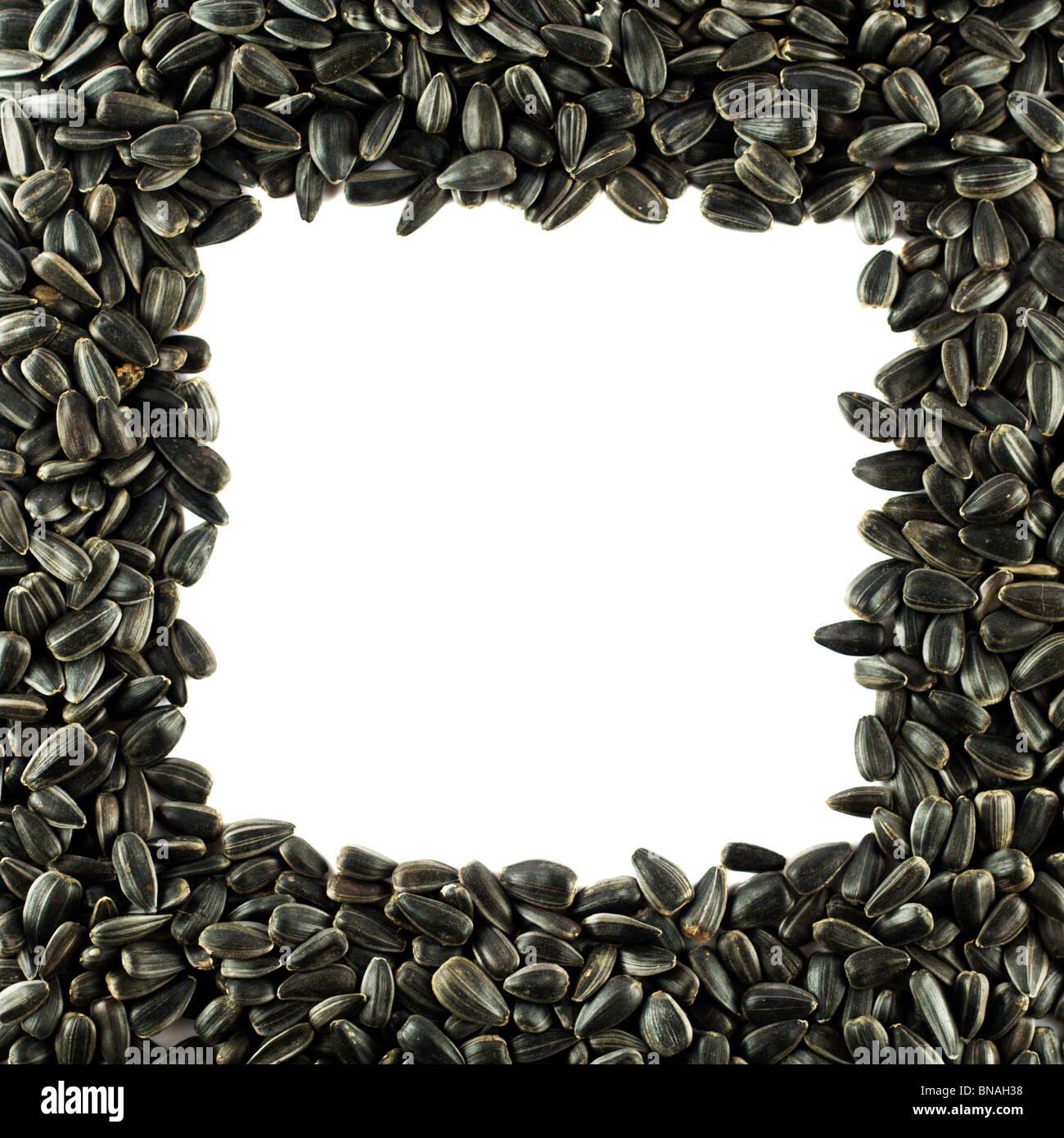 Sunflower seeds frame Stock Photo - Alamy