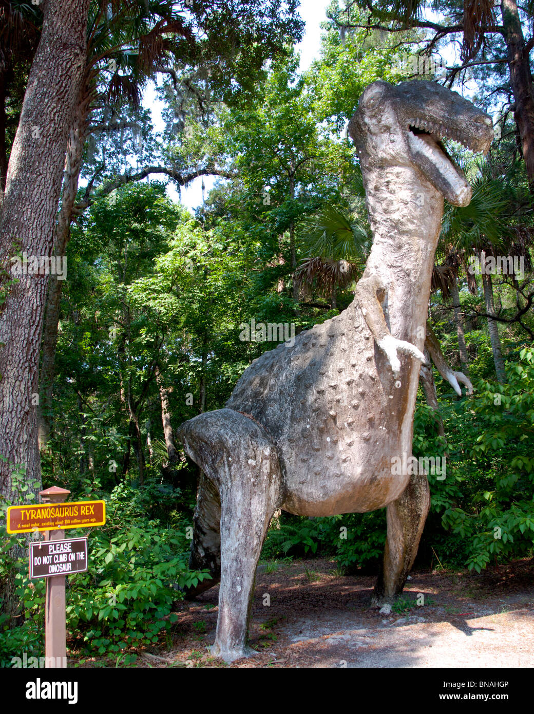 Bongoland at Dunlawton Plantation Sugar Mill Gardens in East Central ...