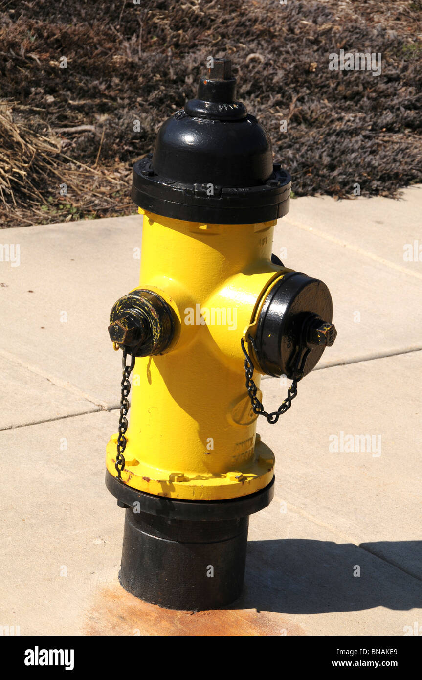 Yellow fire hydrant Stock Photo - Alamy