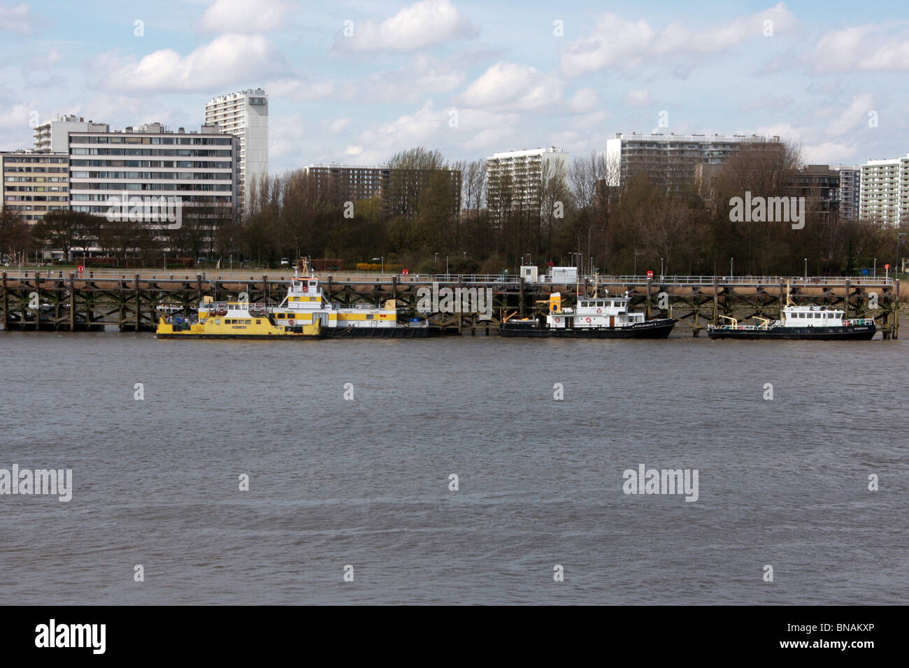 Belgium, Antwerp Scheldt river Stock Photo - Alamy