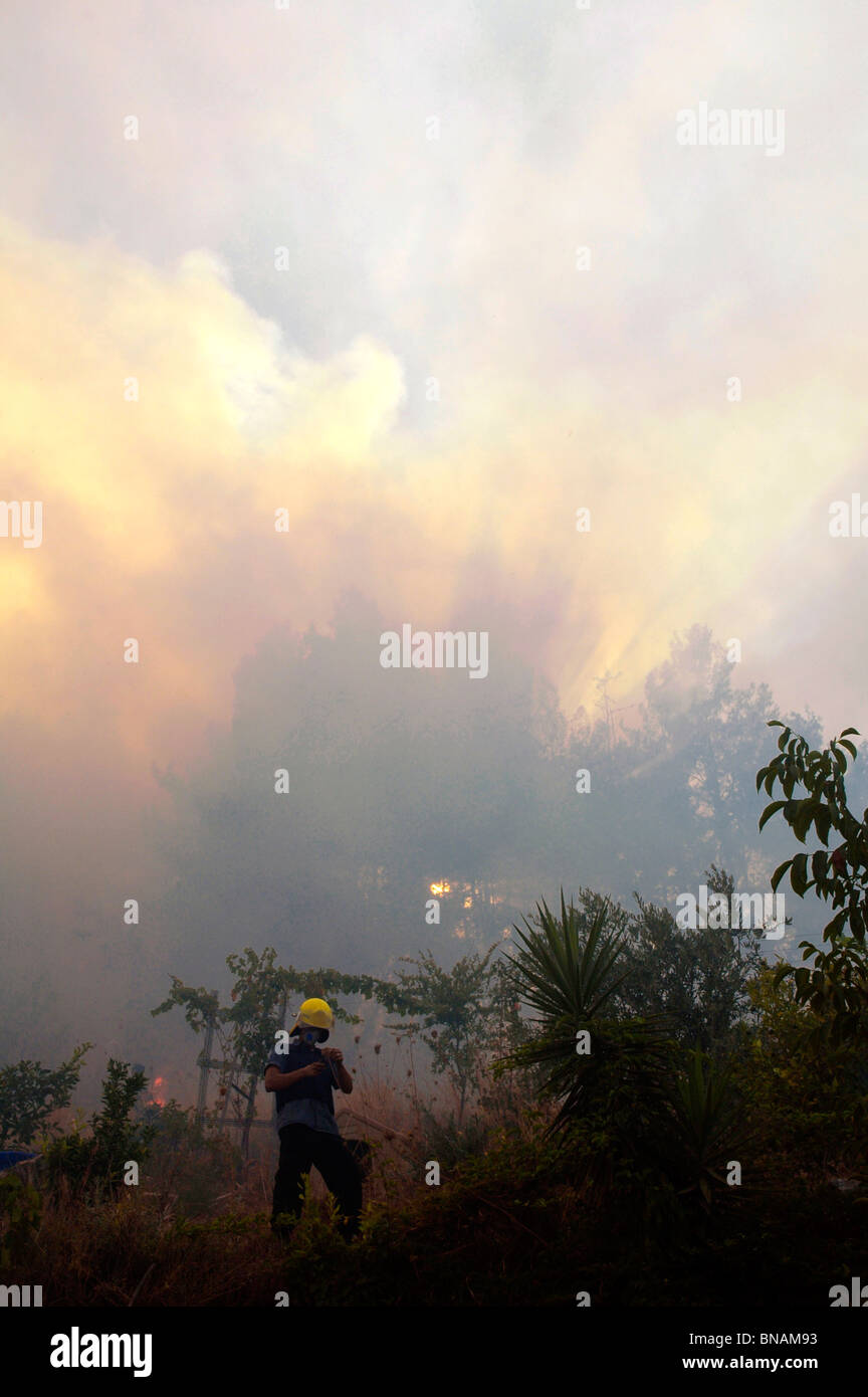 Fireman during massive forest fire in Galilee region Israel Stock Photo ...