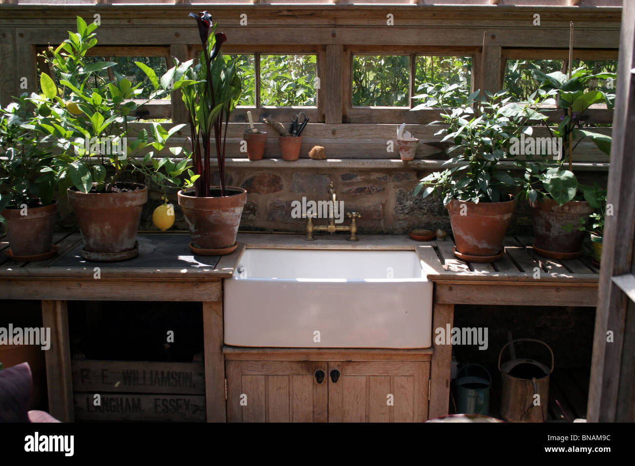 Inside the gardens of Holcombe Court Holcombe Rogus Devon Stock Photo ...