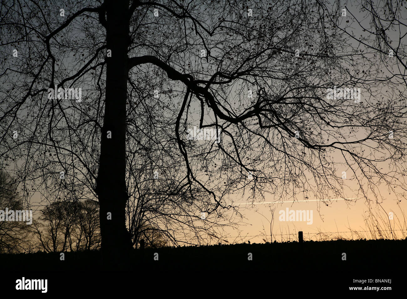 Scenes from Denmark Stock Photo - Alamy