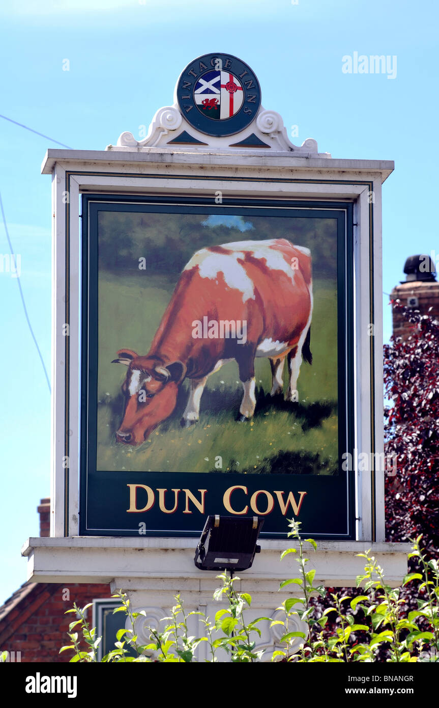 Dun Cow pub sign, Dunchurch, Warwickshire, England, UK Stock Photo - Alamy