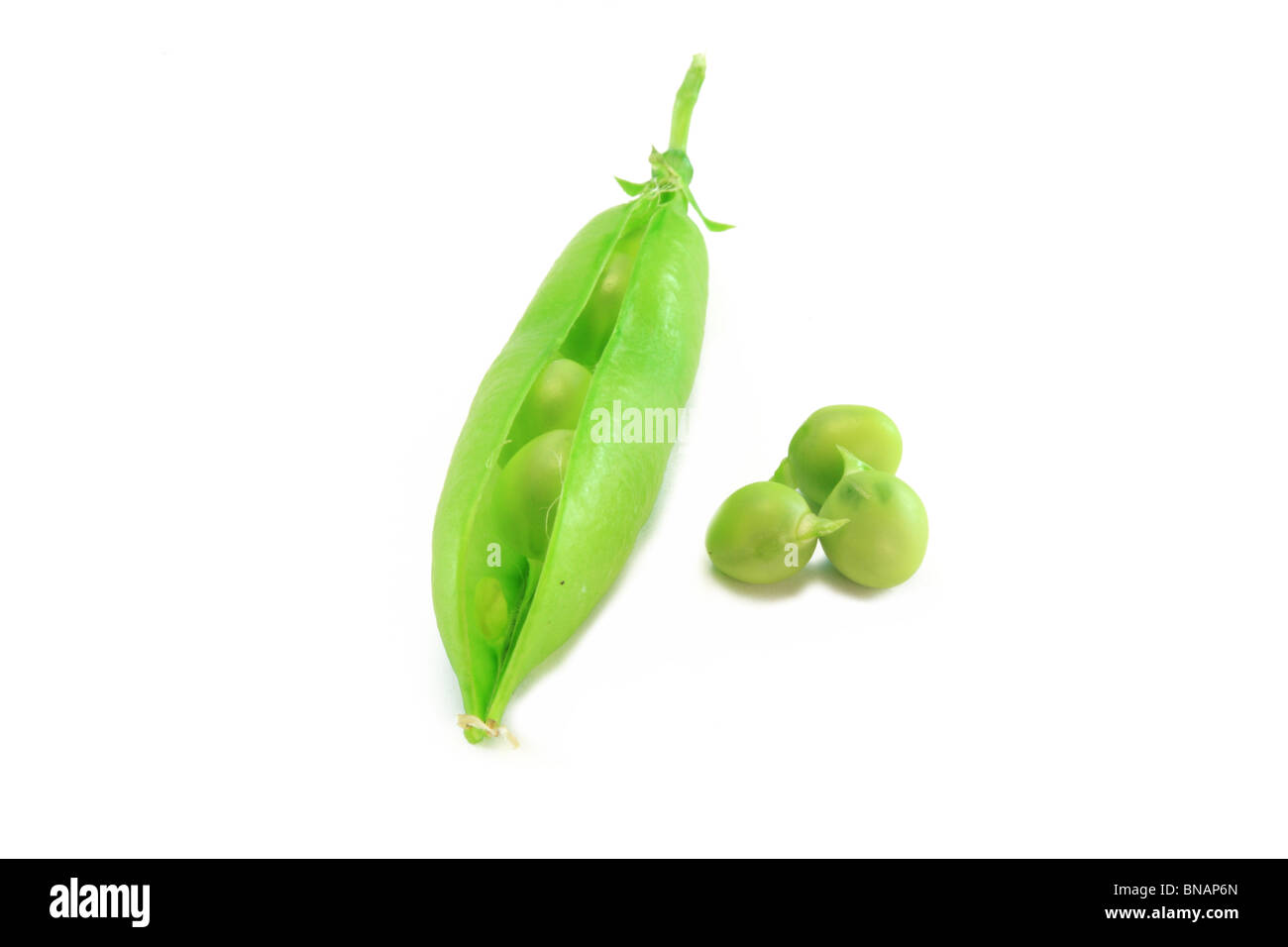 pea pod with peas Stock Photo - Alamy
