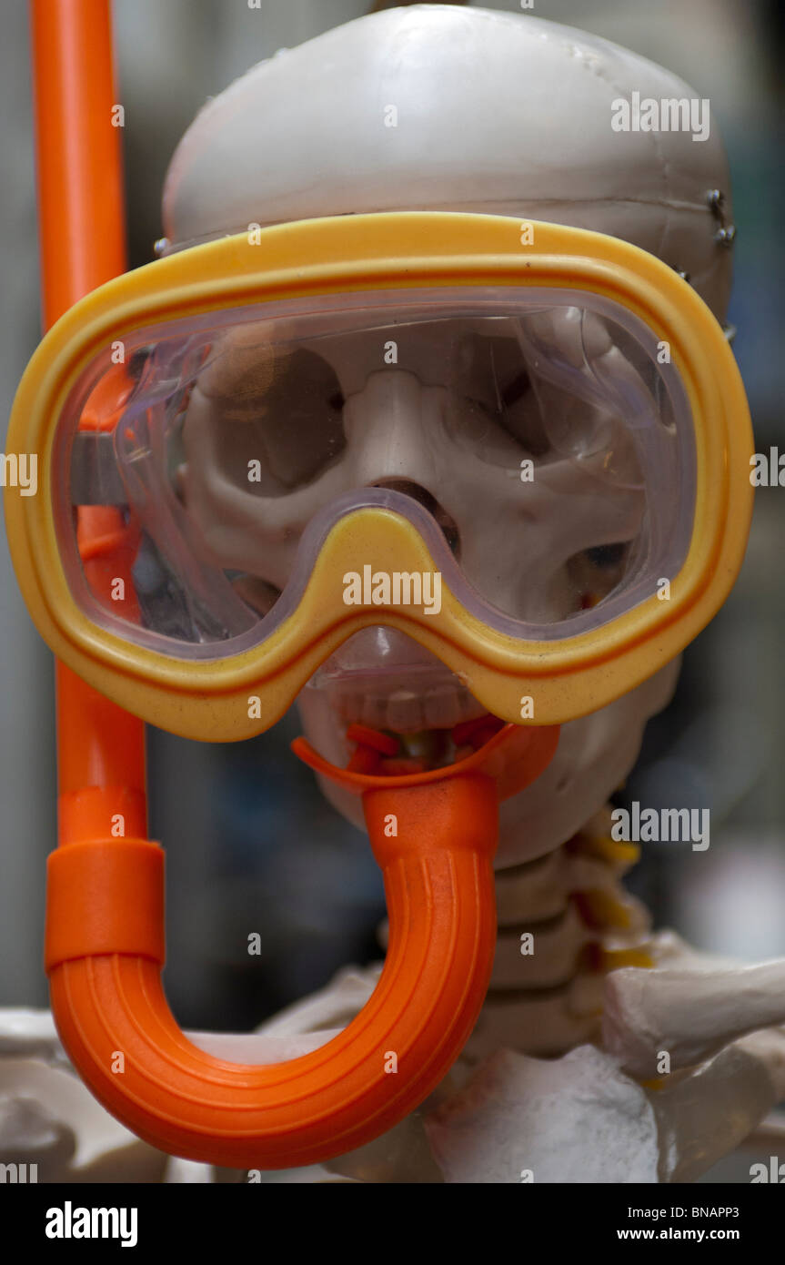Skeleton wearing a orange diving mask and snorkel Stock Photo - Alamy