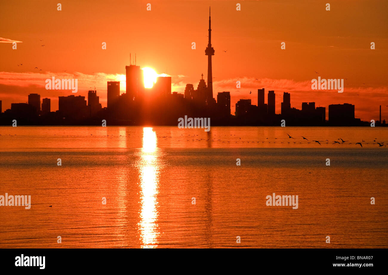 Toronto skyline dawn hi-res stock photography and images - Alamy