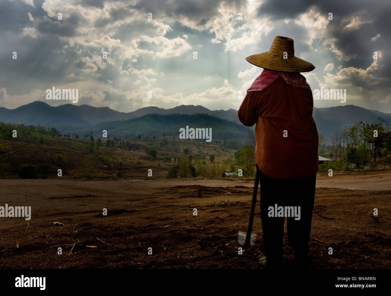 Farmer looking out onto land after a rainfall Stock Photo - Alamy