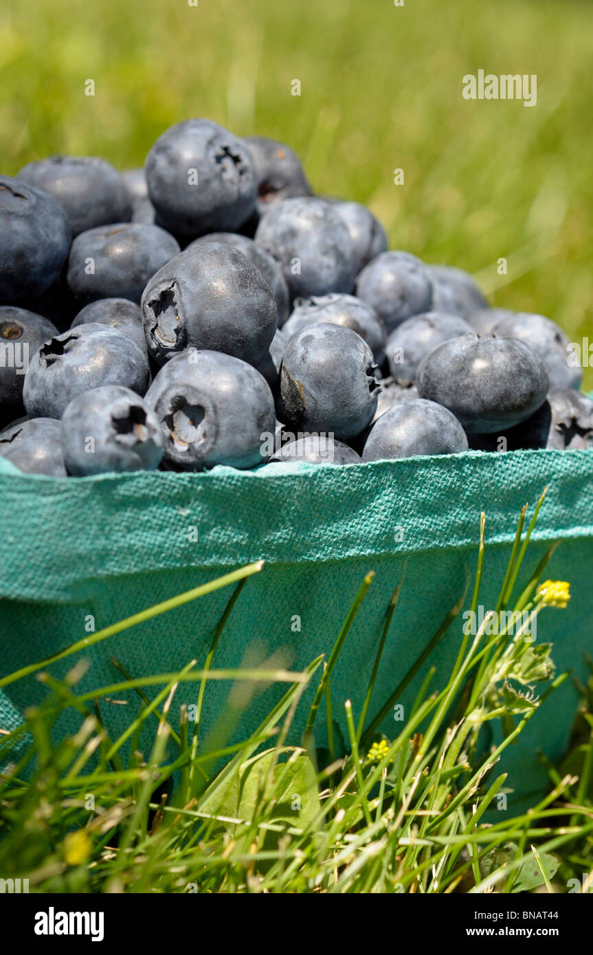 Blueberry blue hi-res stock photography and images - Alamy