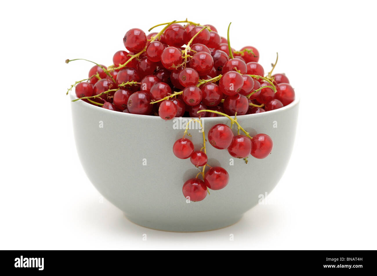 Red currants white bowl hi-res stock photography and images - Alamy