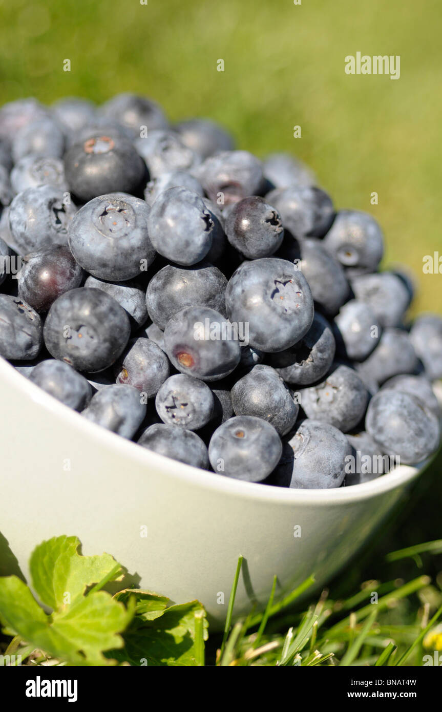 Blueberry blue hi-res stock photography and images - Alamy