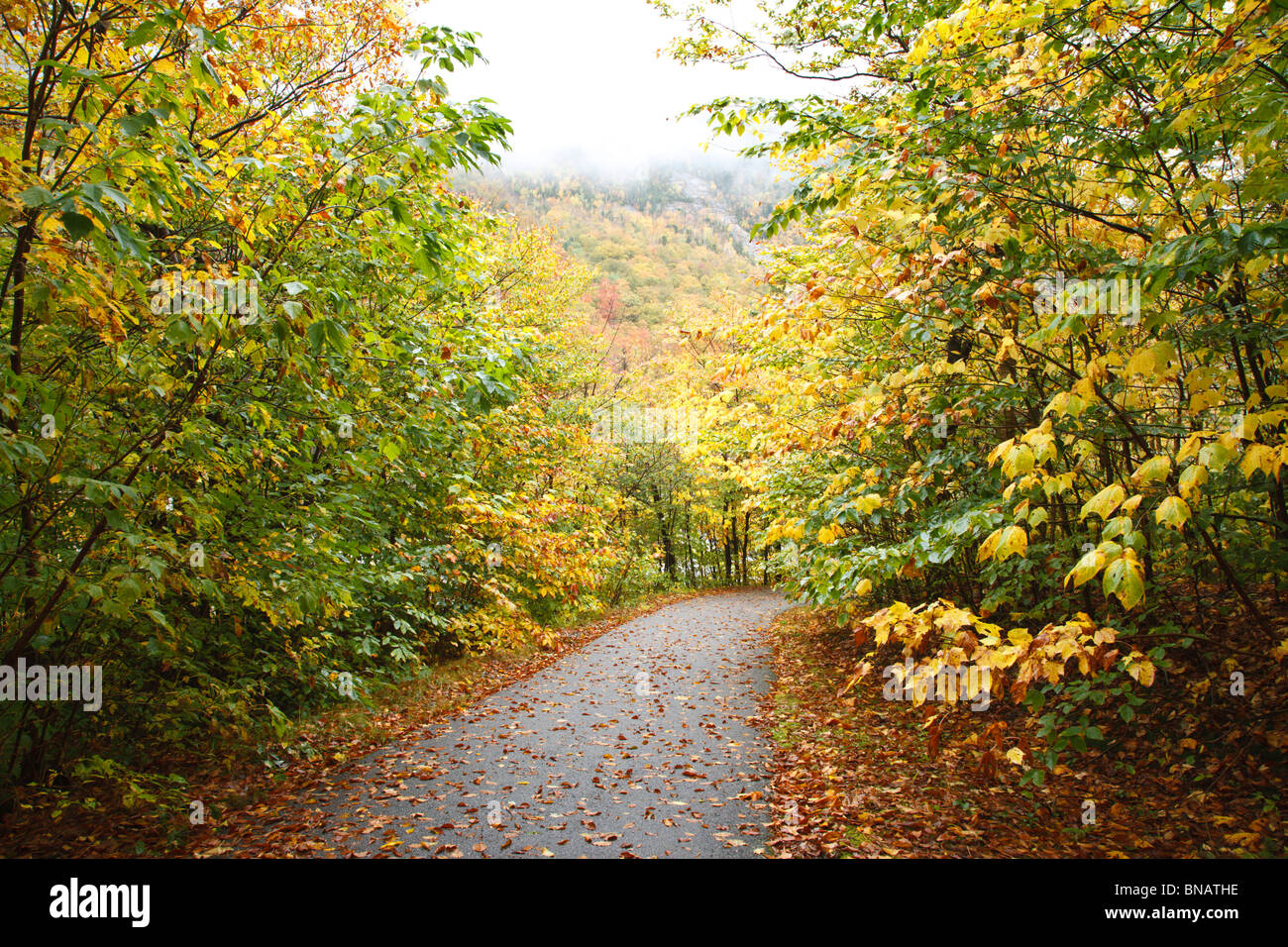 Franconia Notch State Park - Walkway in Franconia Notch during the ...