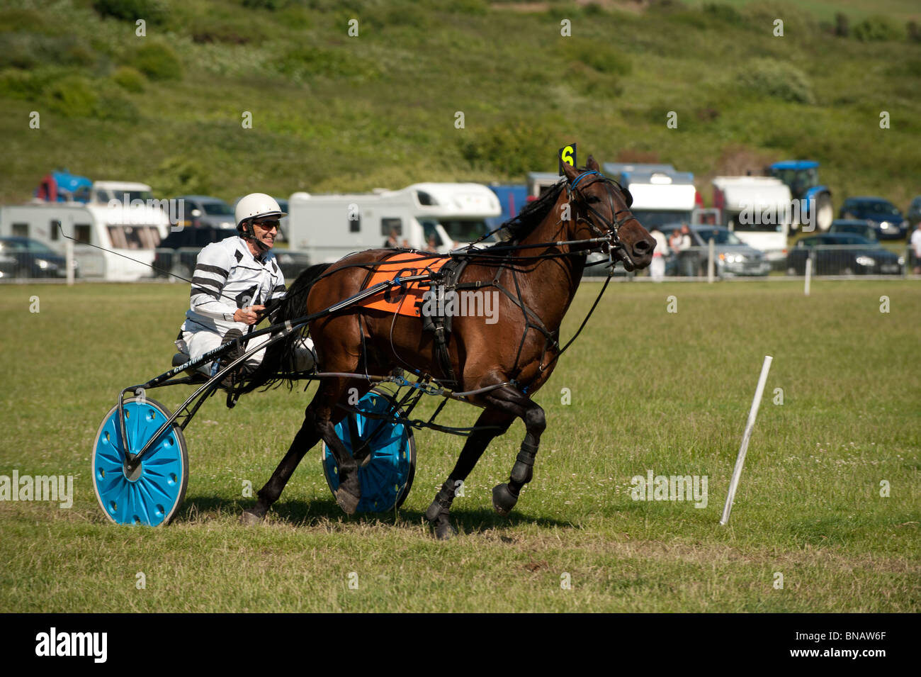 Harness trotting racing uk hi-res stock photography and images - Alamy