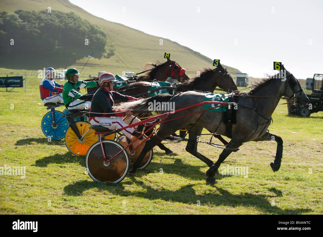 Three horses trotting hi-res stock photography and images - Alamy