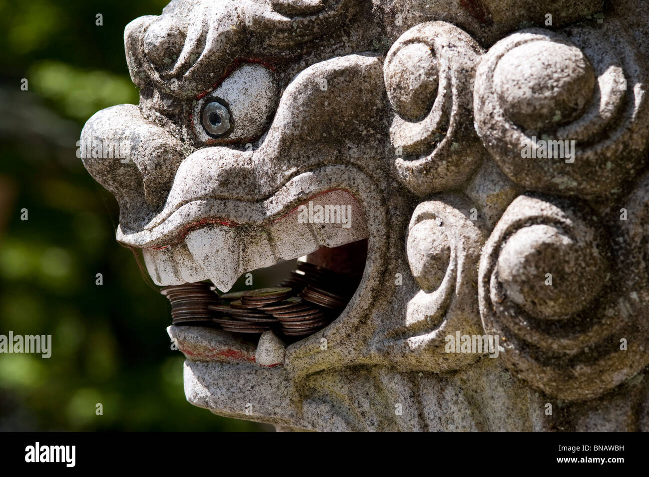 Shinto Shrine Guard Lion Dog sculpture protecting the Shrine entrance ...