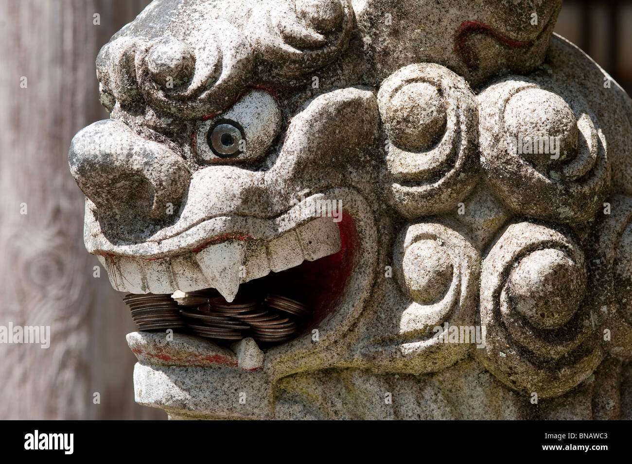 Shinto Shrine Guard Lion Dog sculpture protecting the Shrine entrance ...