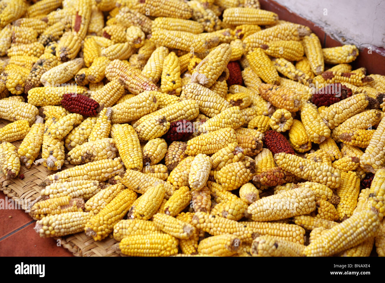 Maize or corn drying outside a house in Otavalo in Ecuador Stock Photo ...
