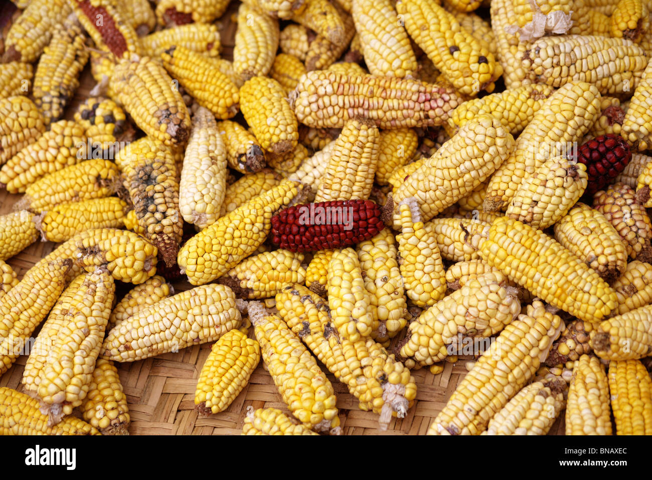 Mais house hi-res stock photography and images - Alamy