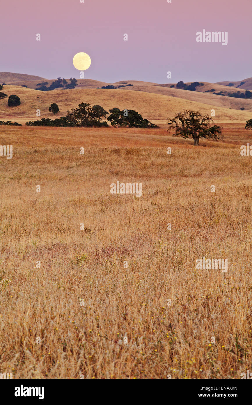 Full Moon over rolling hills Stock Photo - Alamy