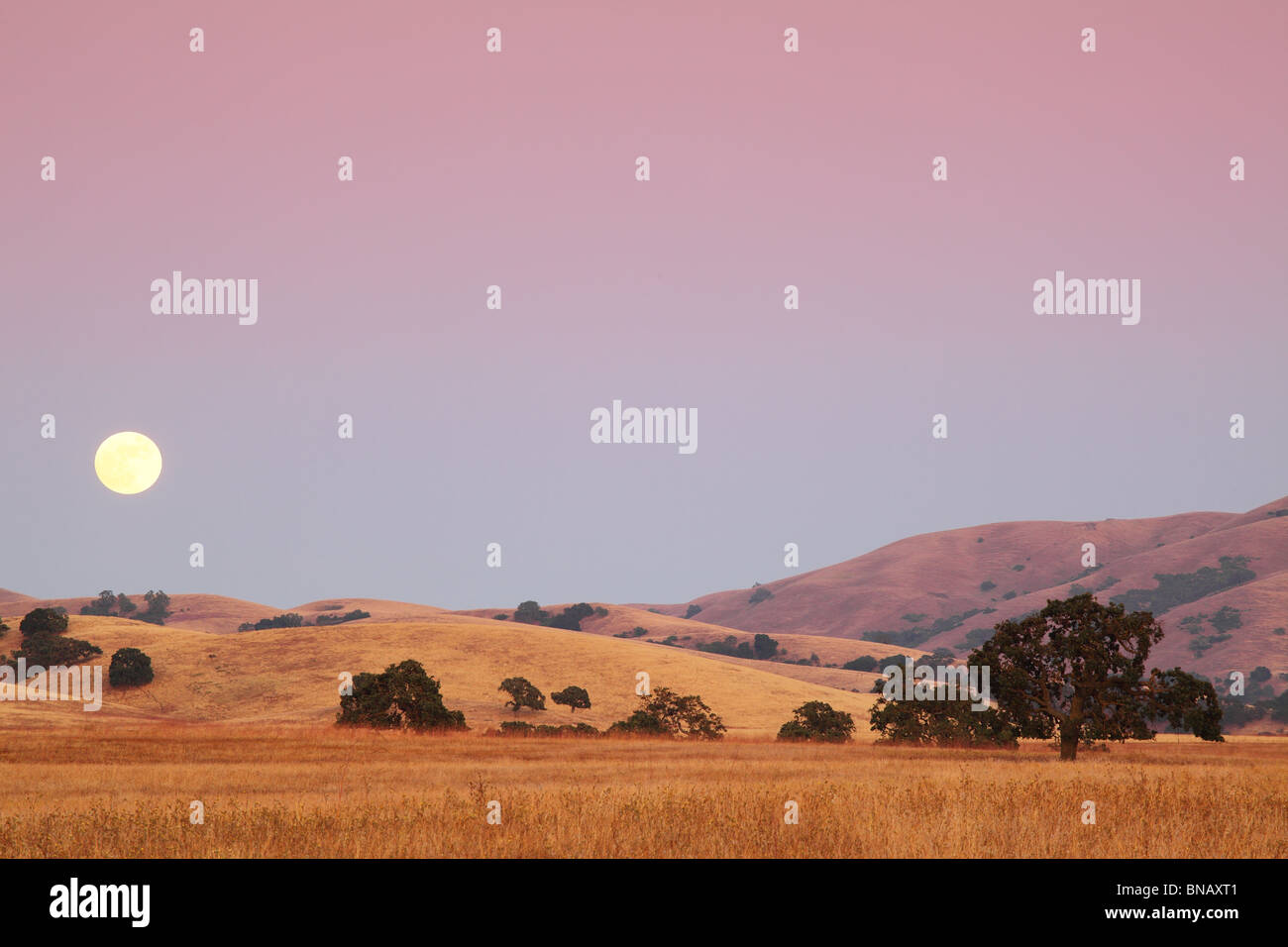 Full moon over rolling hills Stock Photo - Alamy