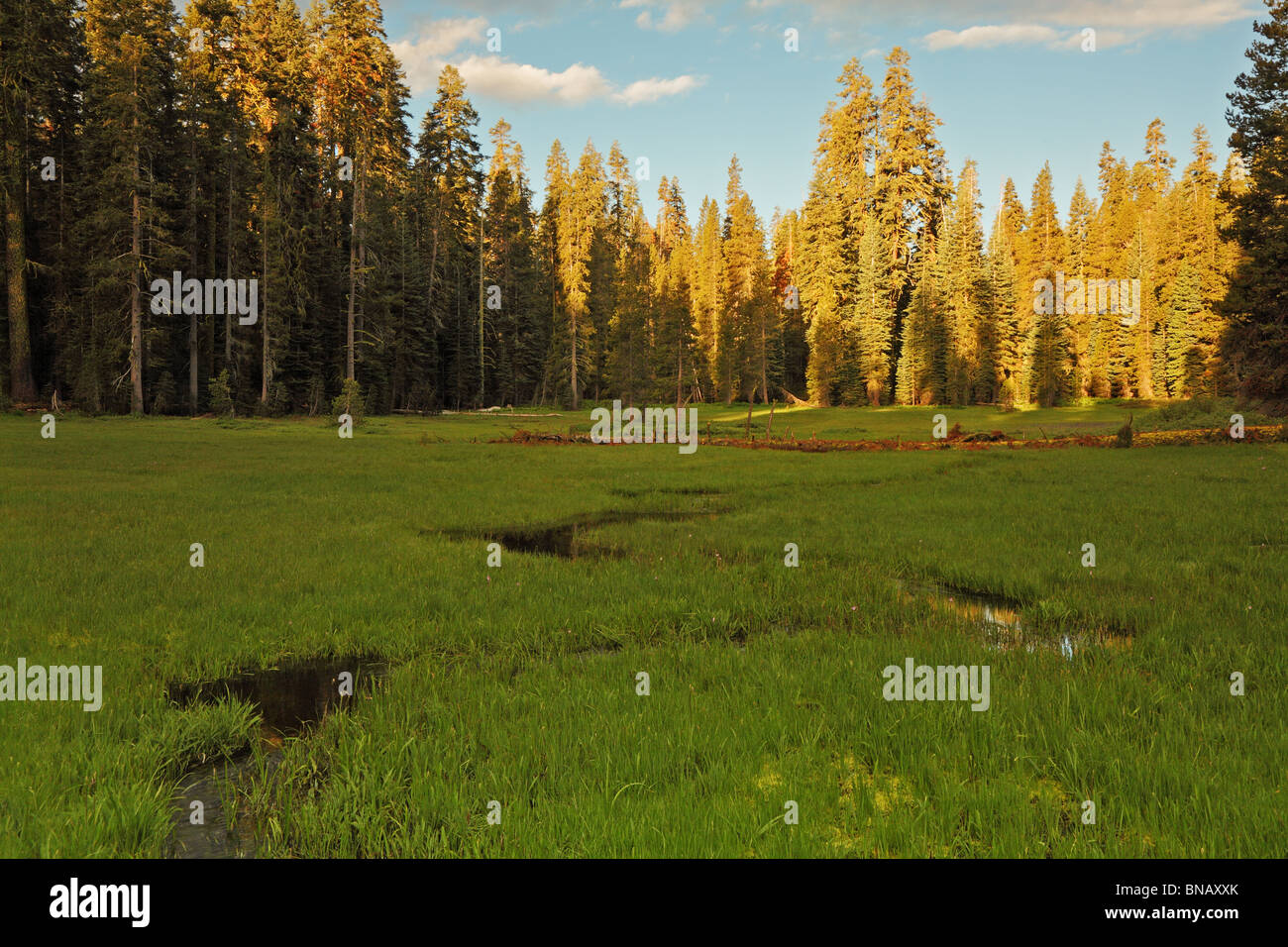 Winding Stream High Resolution Stock Photography and Images - Alamy