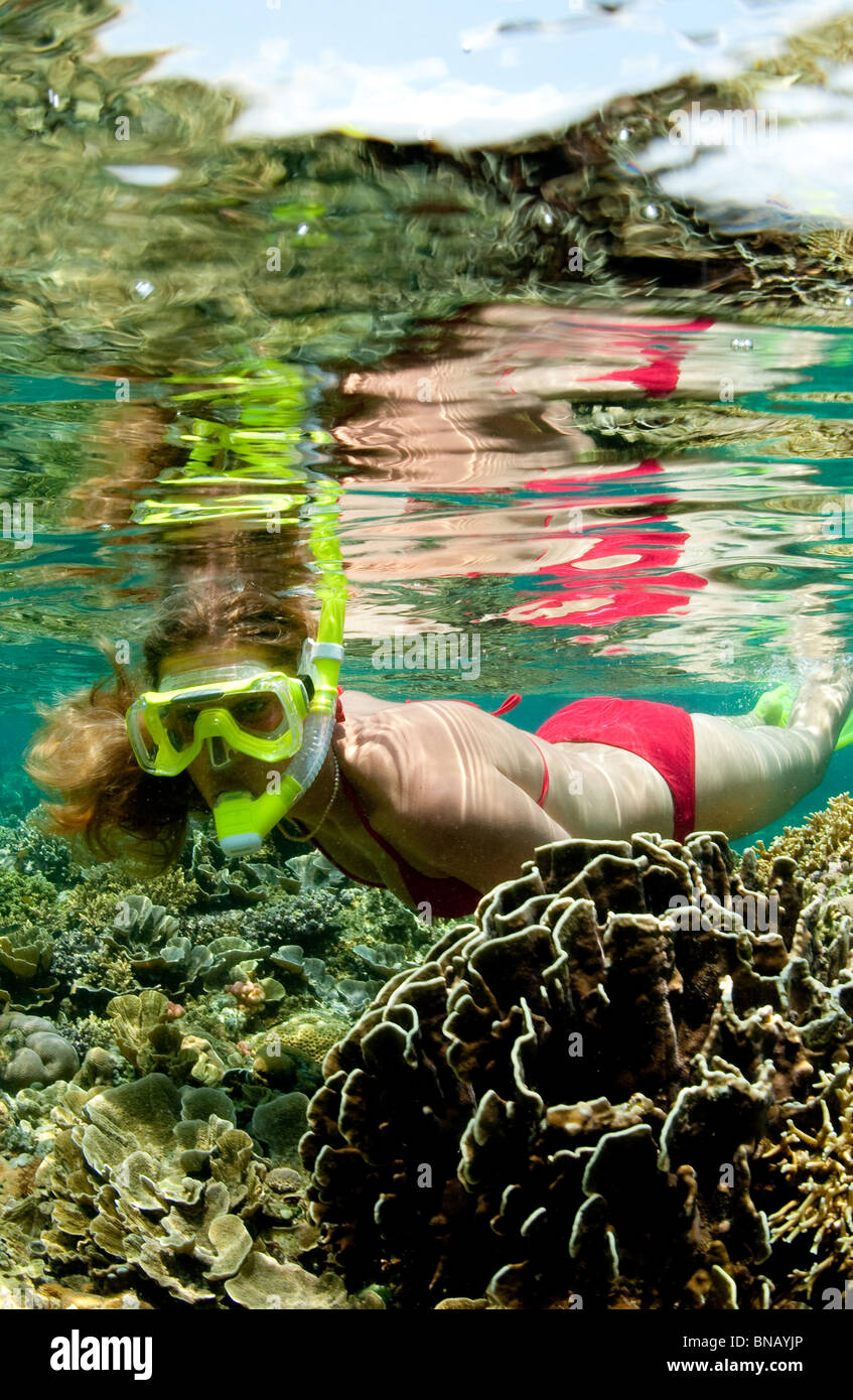 Snorkeler on coral reef Stock Photo - Alamy