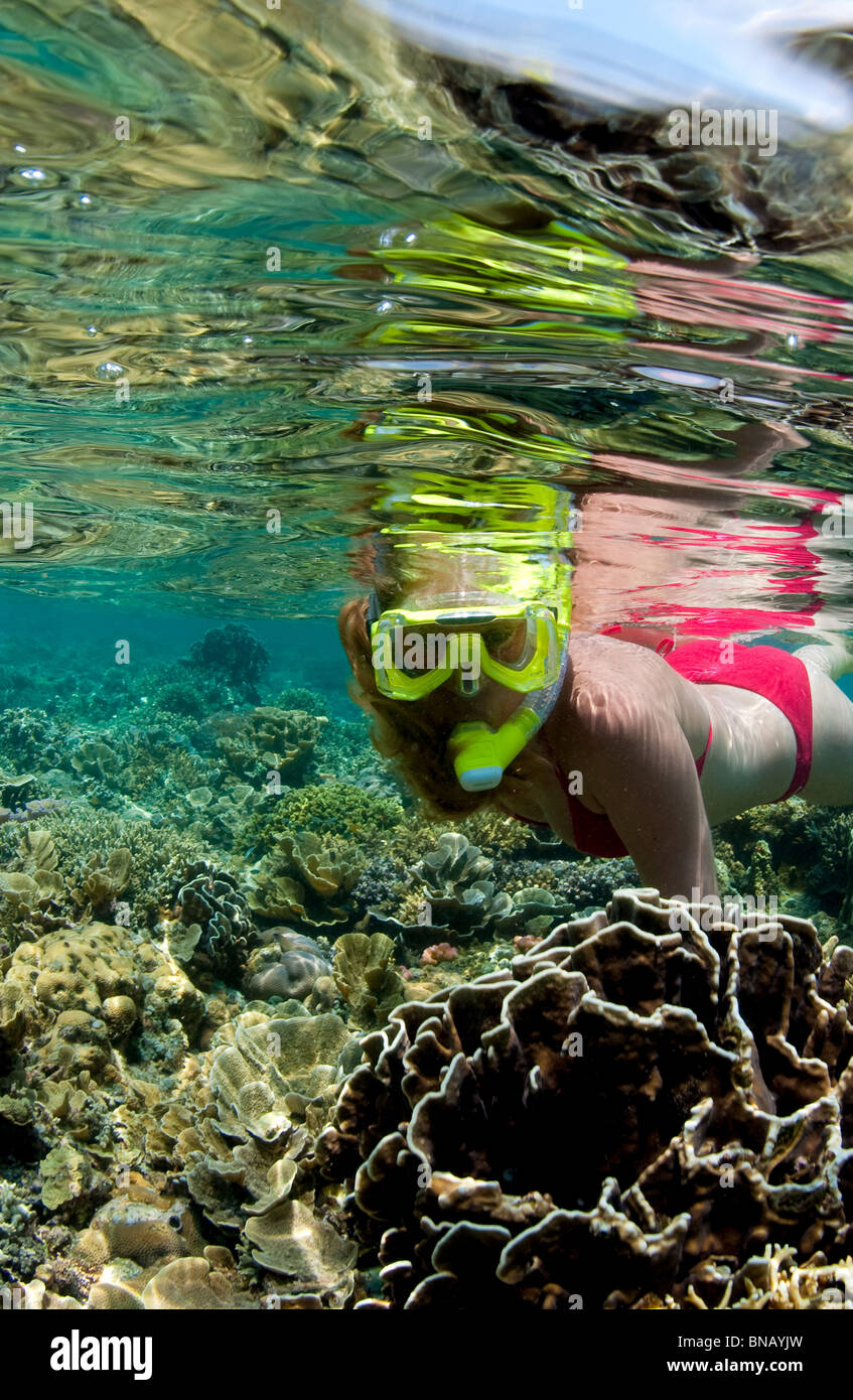 Snorkeler on coral reef Stock Photo - Alamy