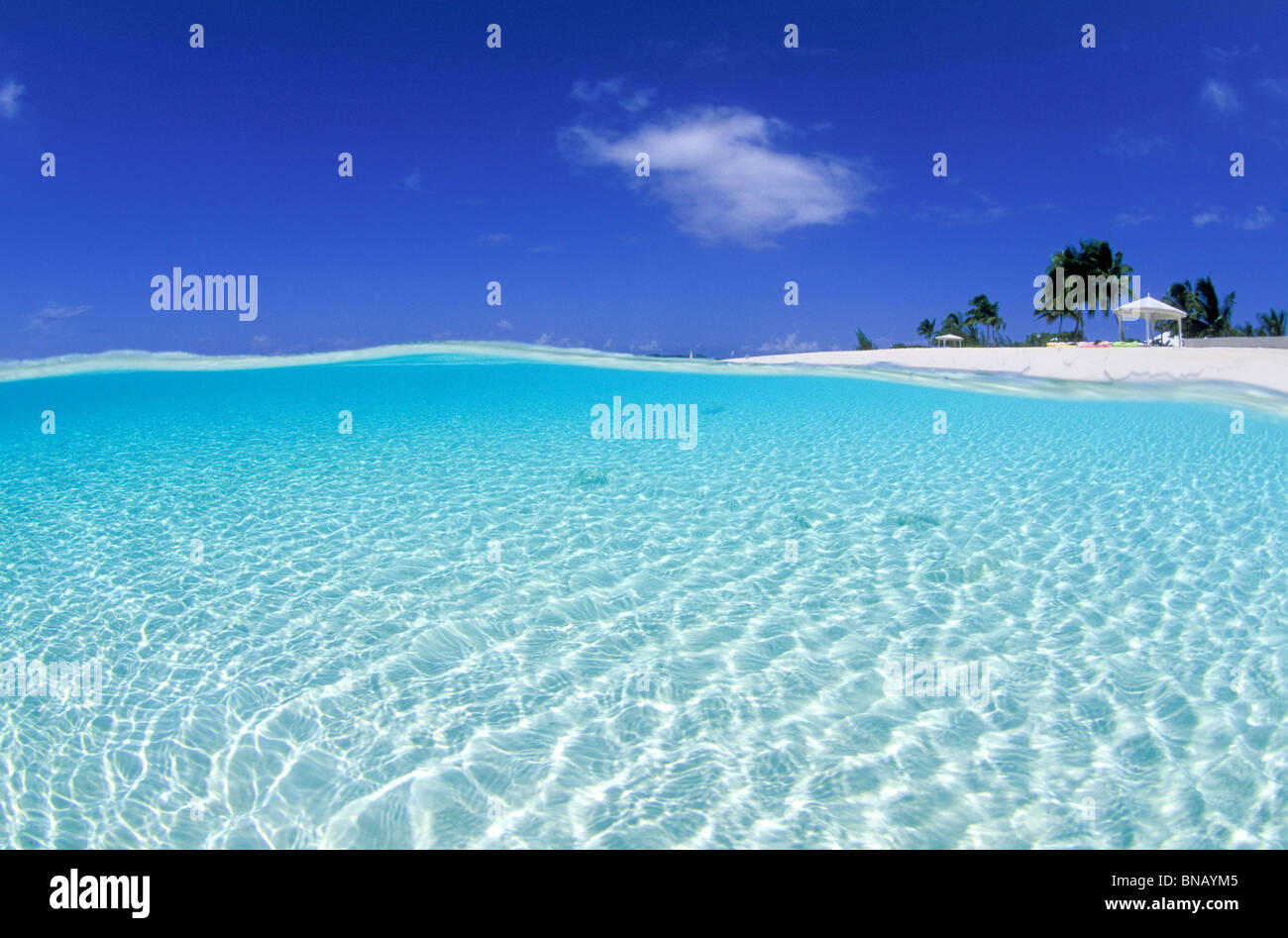 Stella maris bahamas hi-res stock photography and images - Alamy