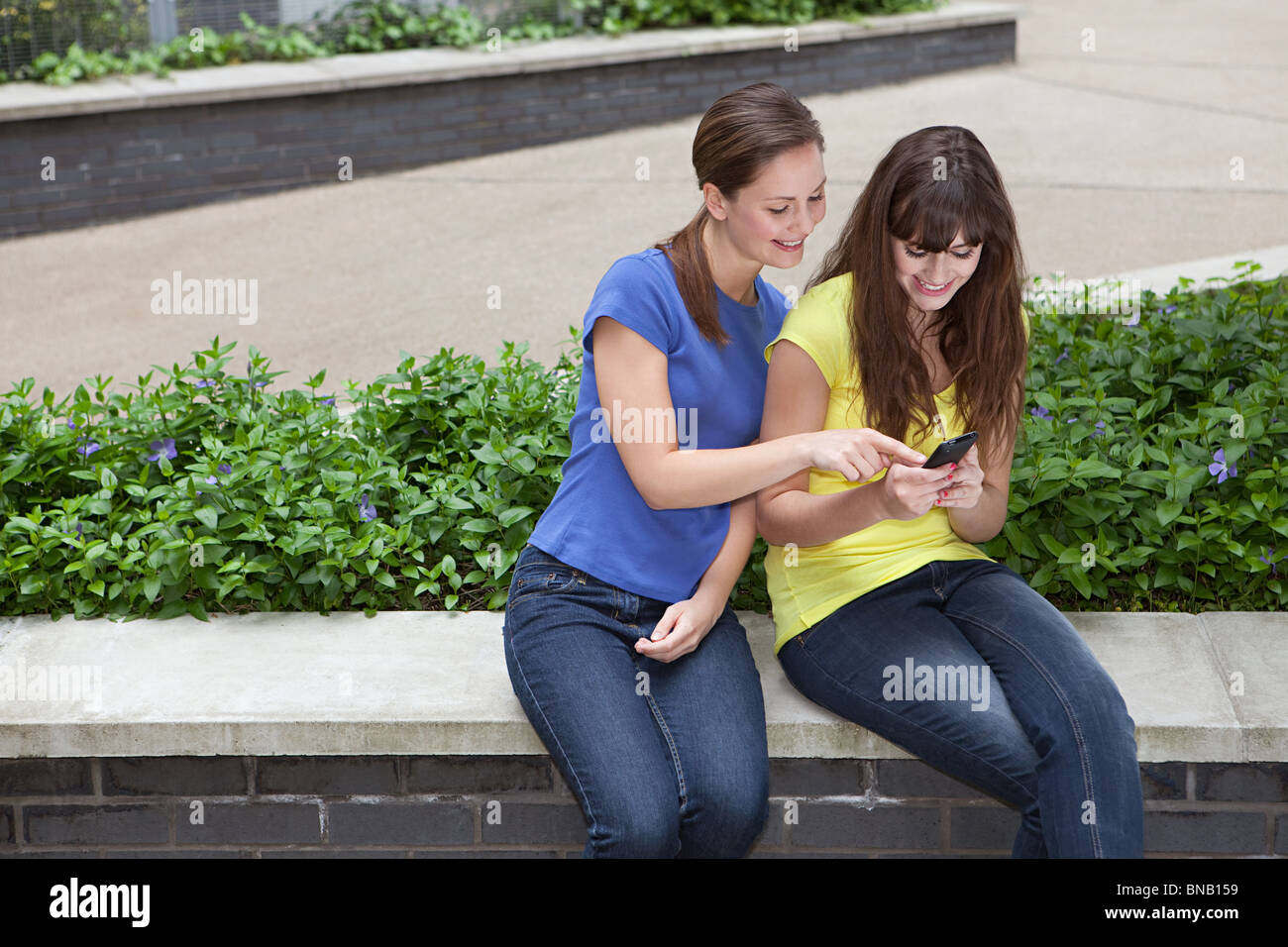 Friends using smartphone Stock Photo - Alamy