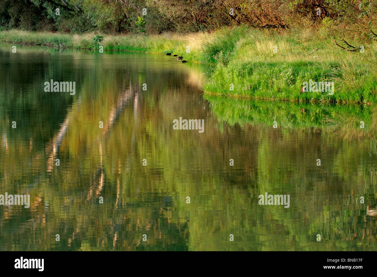 Water reflection scenery hi-res stock photography and images - Alamy