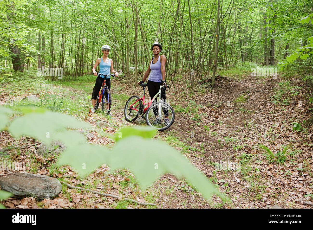 Cycling in black forest hi-res stock photography and images - Alamy