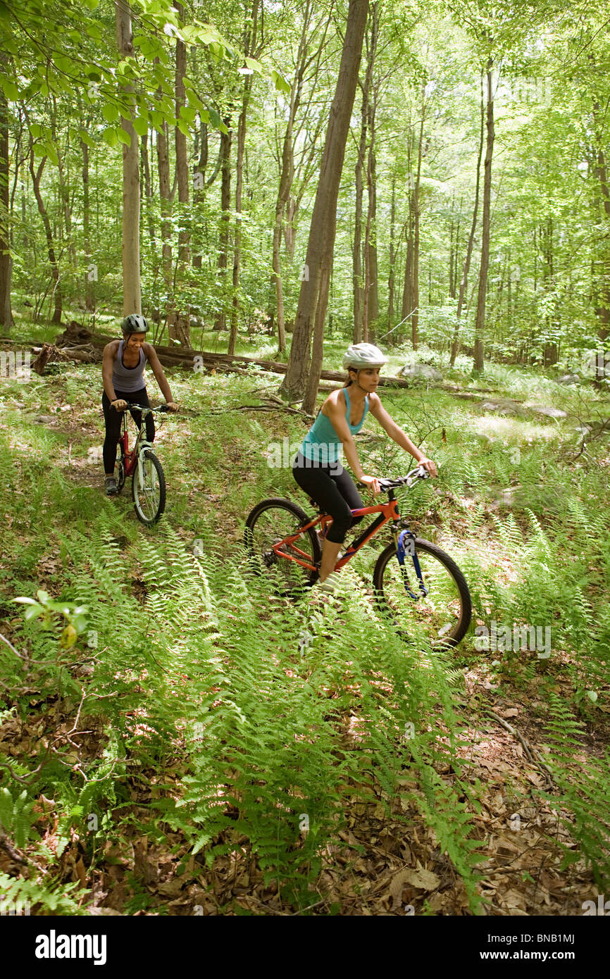 Two female cyclists in forest Stock Photo - Alamy