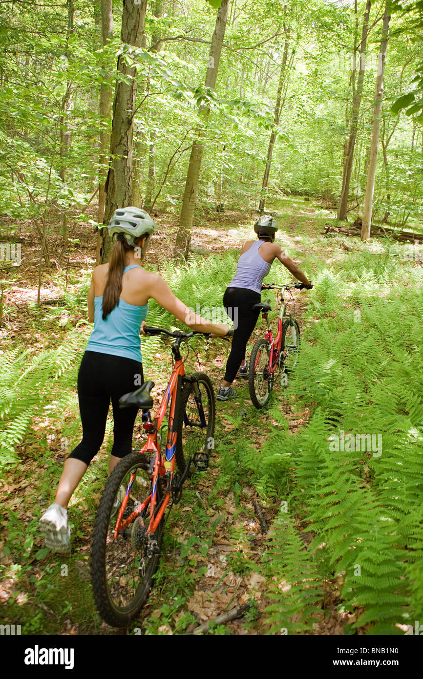 Two female cyclists in forest Stock Photo - Alamy