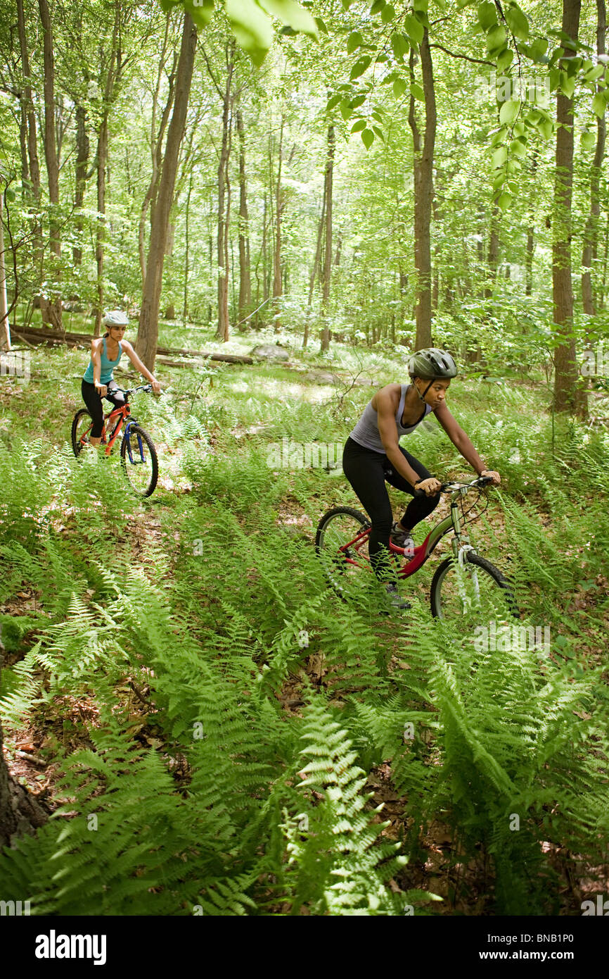 Two female cyclists in forest Stock Photo - Alamy