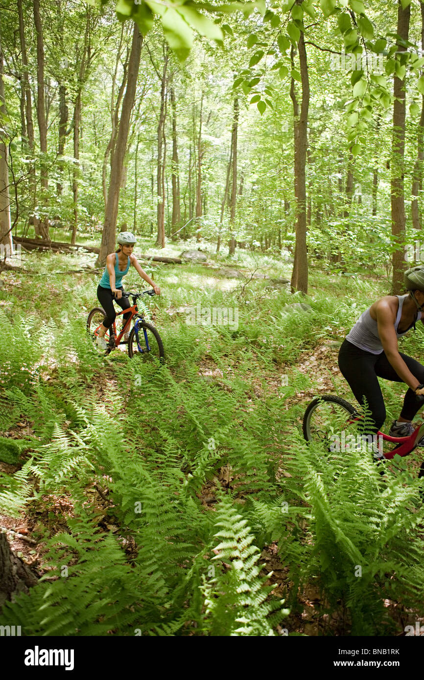 Two female cyclists in forest Stock Photo - Alamy