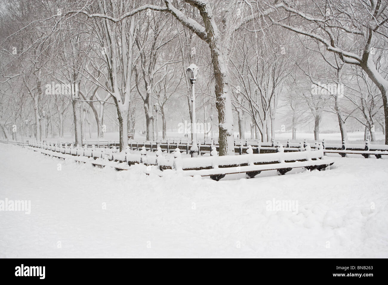 Park covered in snow hi-res stock photography and images - Alamy