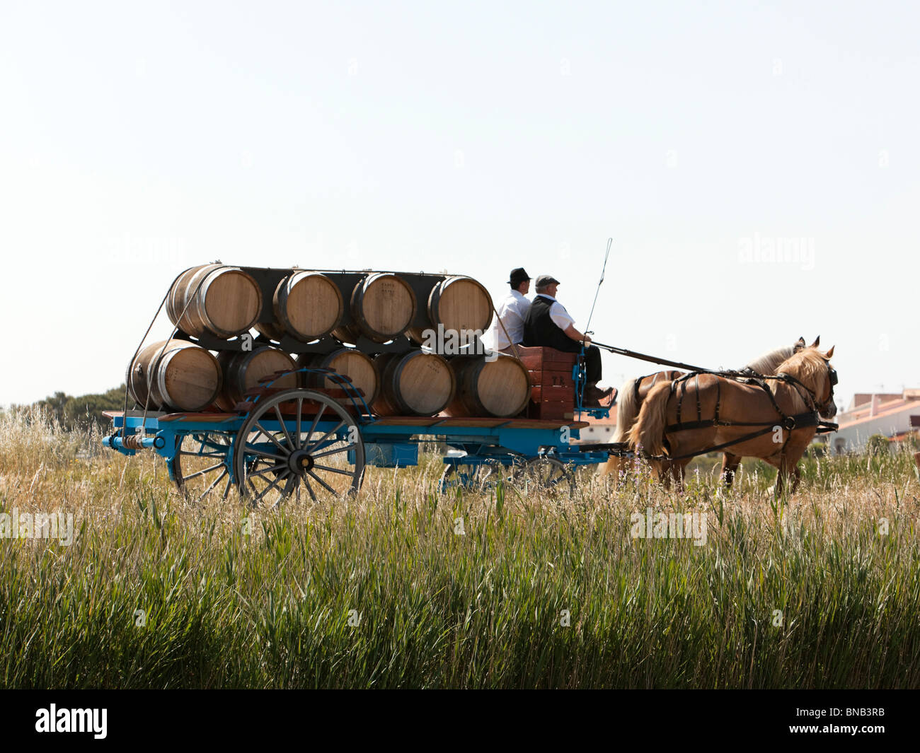 traditional horse carriage with wine barrels in a parade at Les-Saintes ...