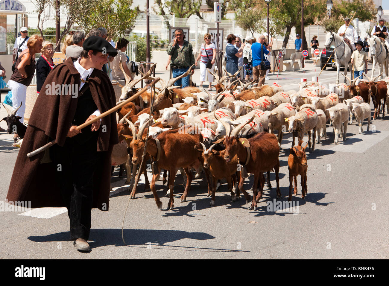 Shepherd and sheep hi-res stock photography and images - Alamy