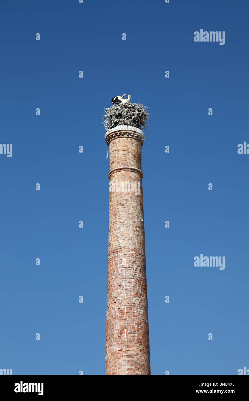 Storks in a nest at top a an old chimney in Faro, Portugal Stock Photo ...