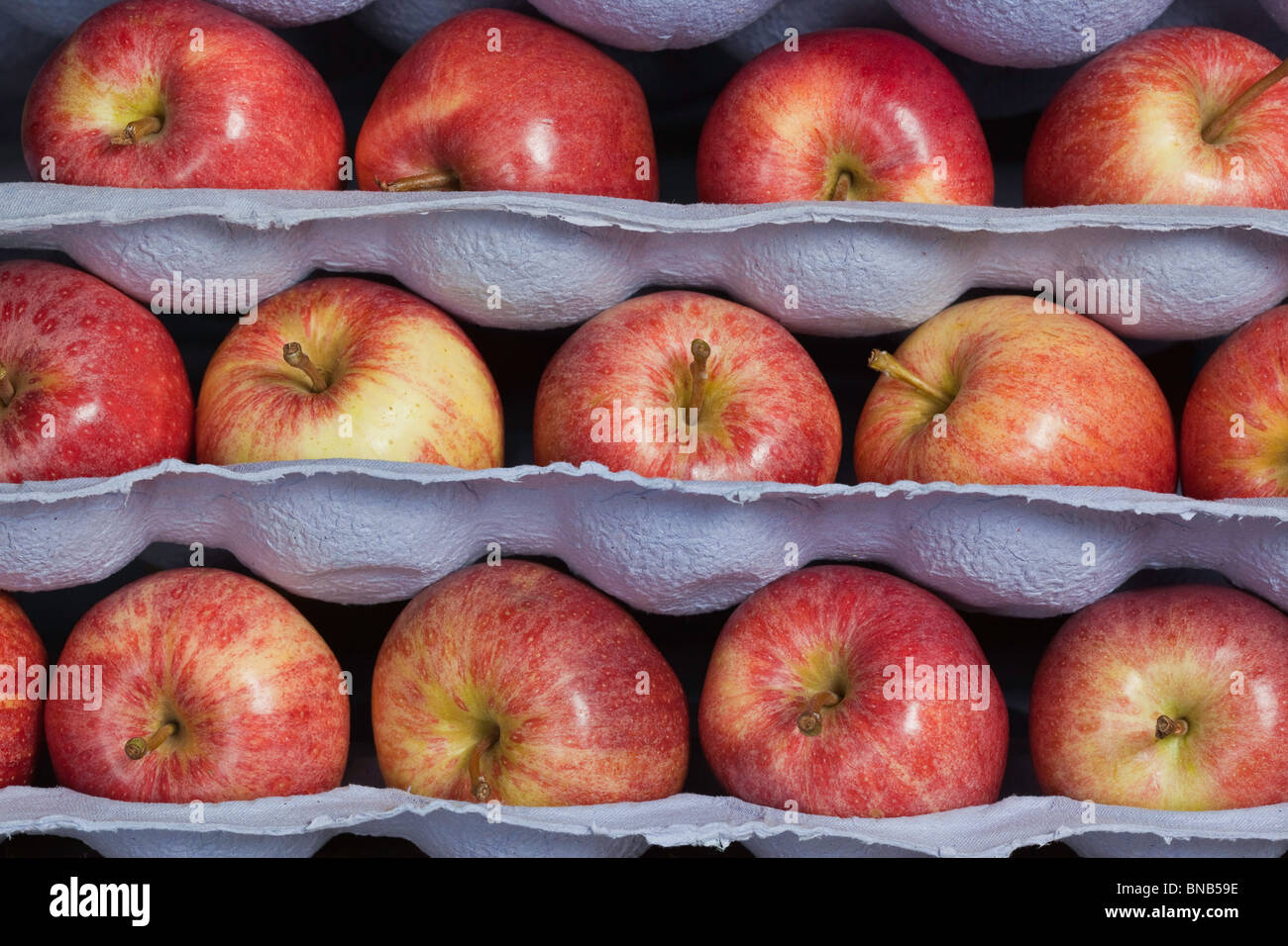 Several apples in shipping trays as delivered to supermarkets Stock ...