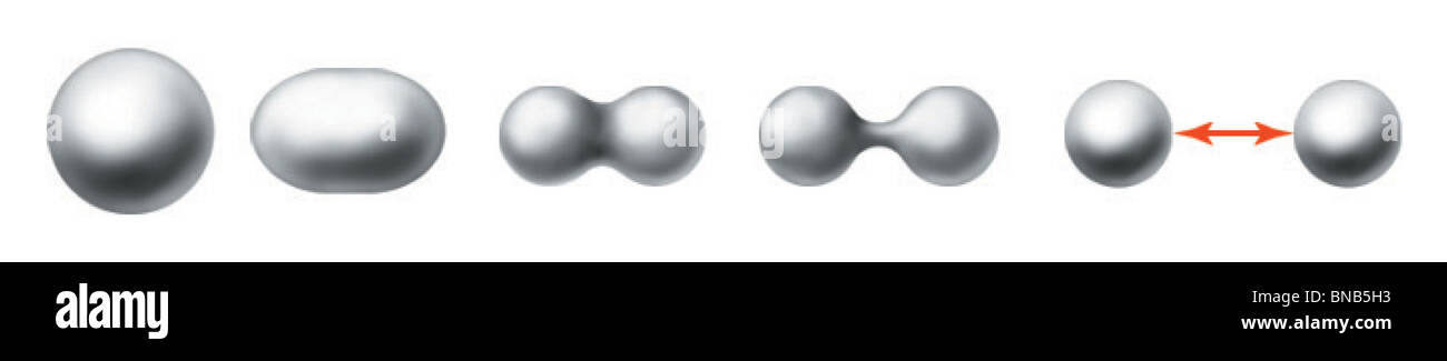 The liquid-drop model of nuclear physics states that the nucleons in an ...